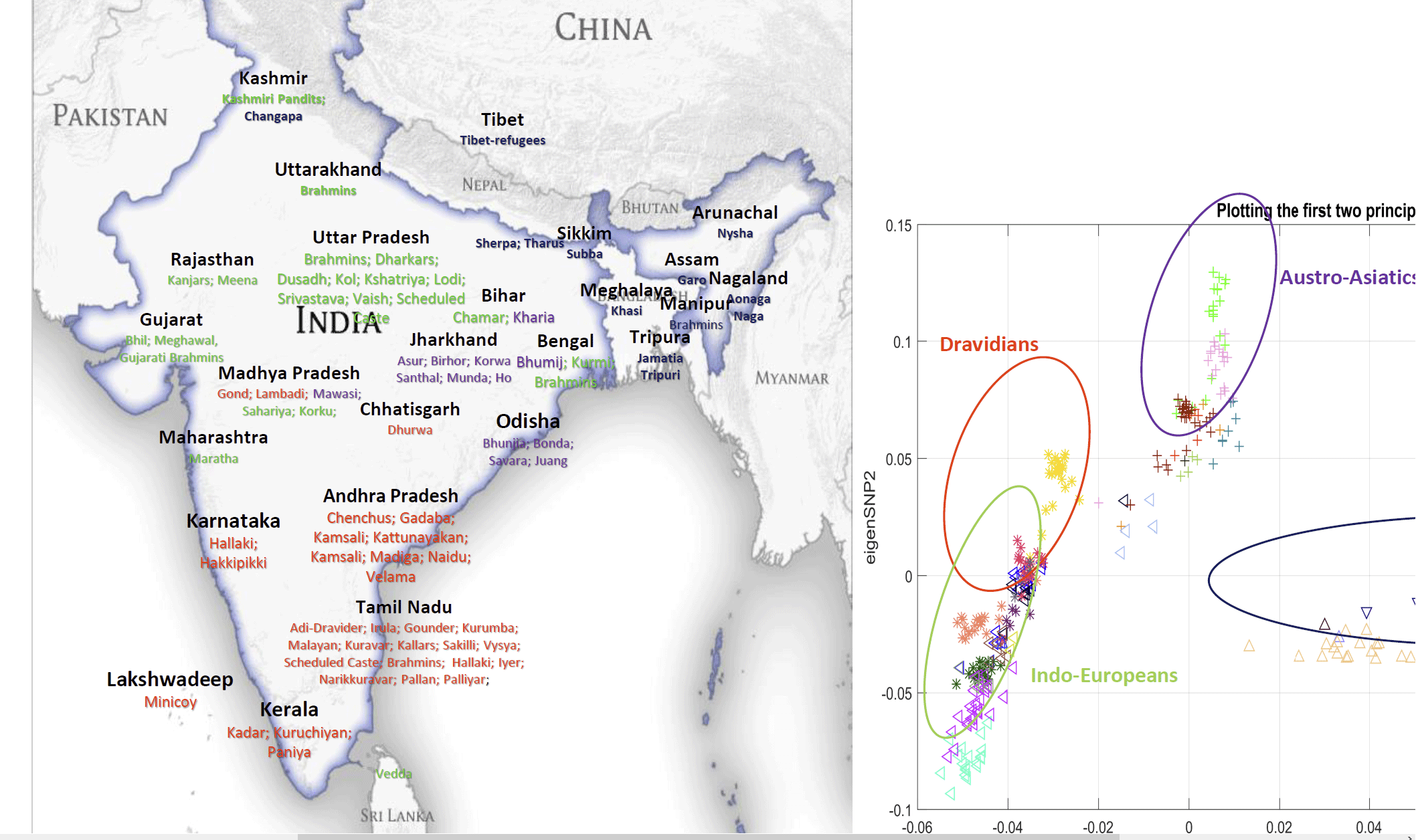 Indo-European and Central Asian admixture in Indian population ...