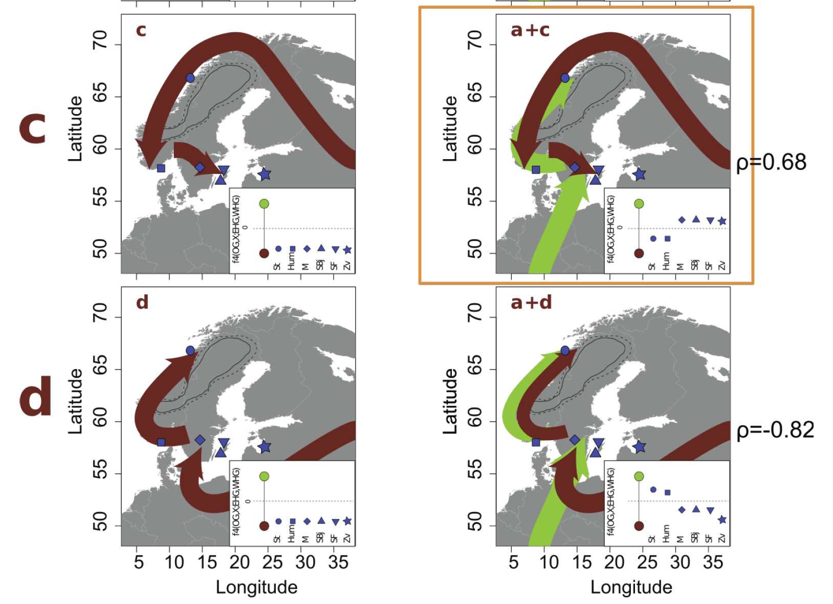 Ancient DNA samples from Mesolithic Scandinavia show east-west genetic ...