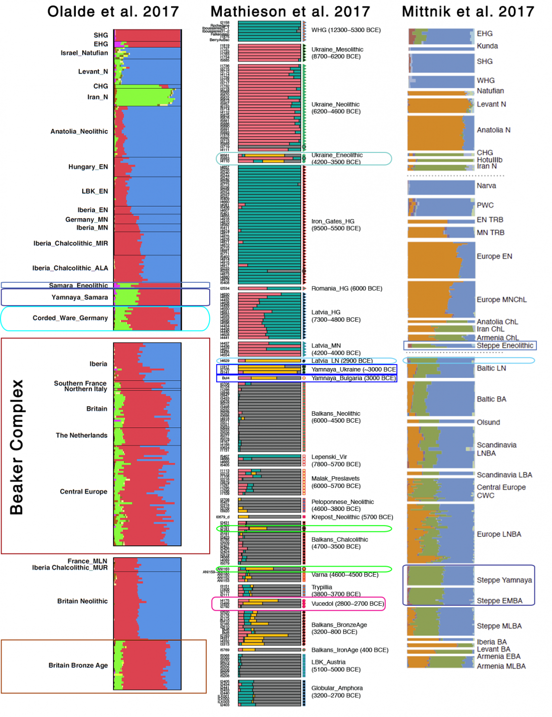 ADMIXTURE - Ancestry components and R - PLINK, convertf, BED and PED ...