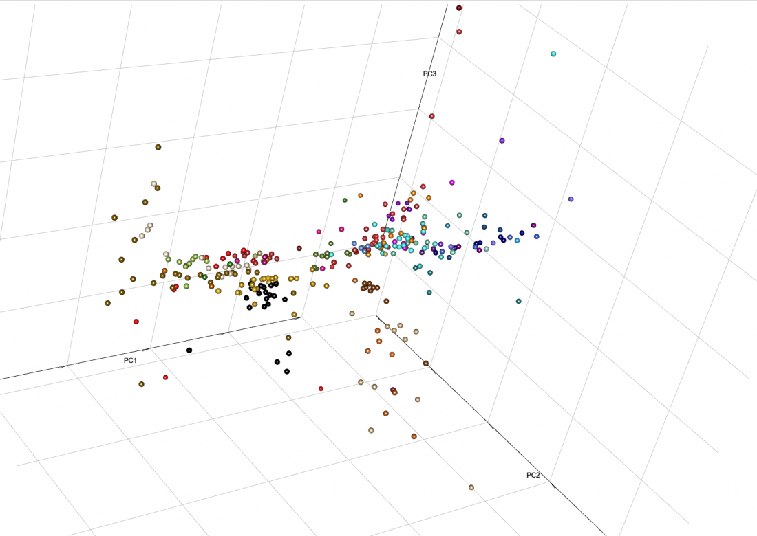 Principal Component Analysis (PCA) with Eigensoft and R | Indo-European.eu Principal Component Analysis (PCA) with Eigensoft and R | Indo-European.eu