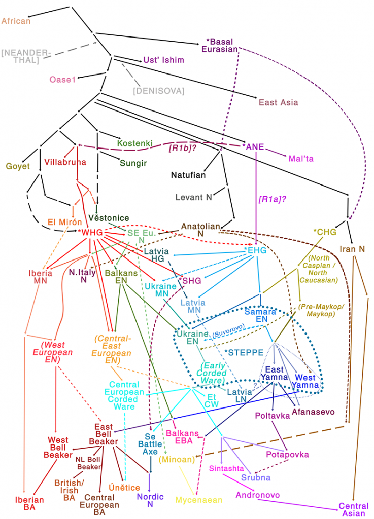 Differences in ADMIXTURE between Khvalynsk/Yamna and Sredni Stog/Corded ...