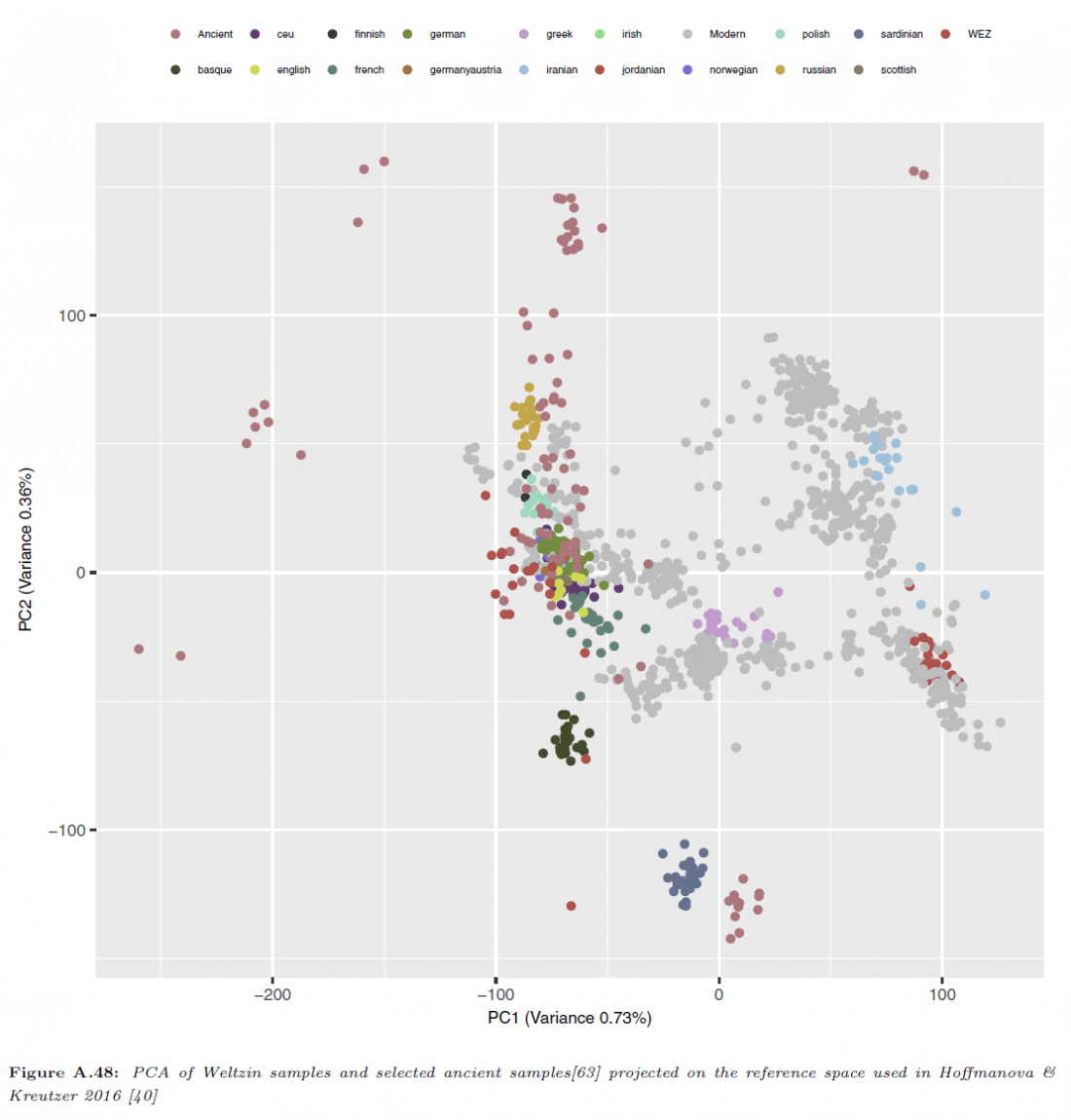 The Tollense Valley battlefield: the North European 'Trojan war' that ...