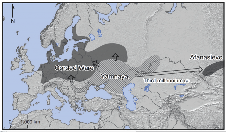 The history of the simplistic 'haplogroup R1a — Indo-European ...