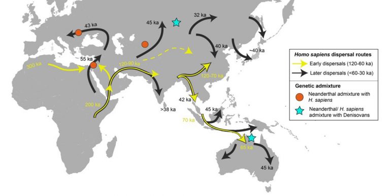 Review article on the origin of modern humans: the multiple-dispersal ...