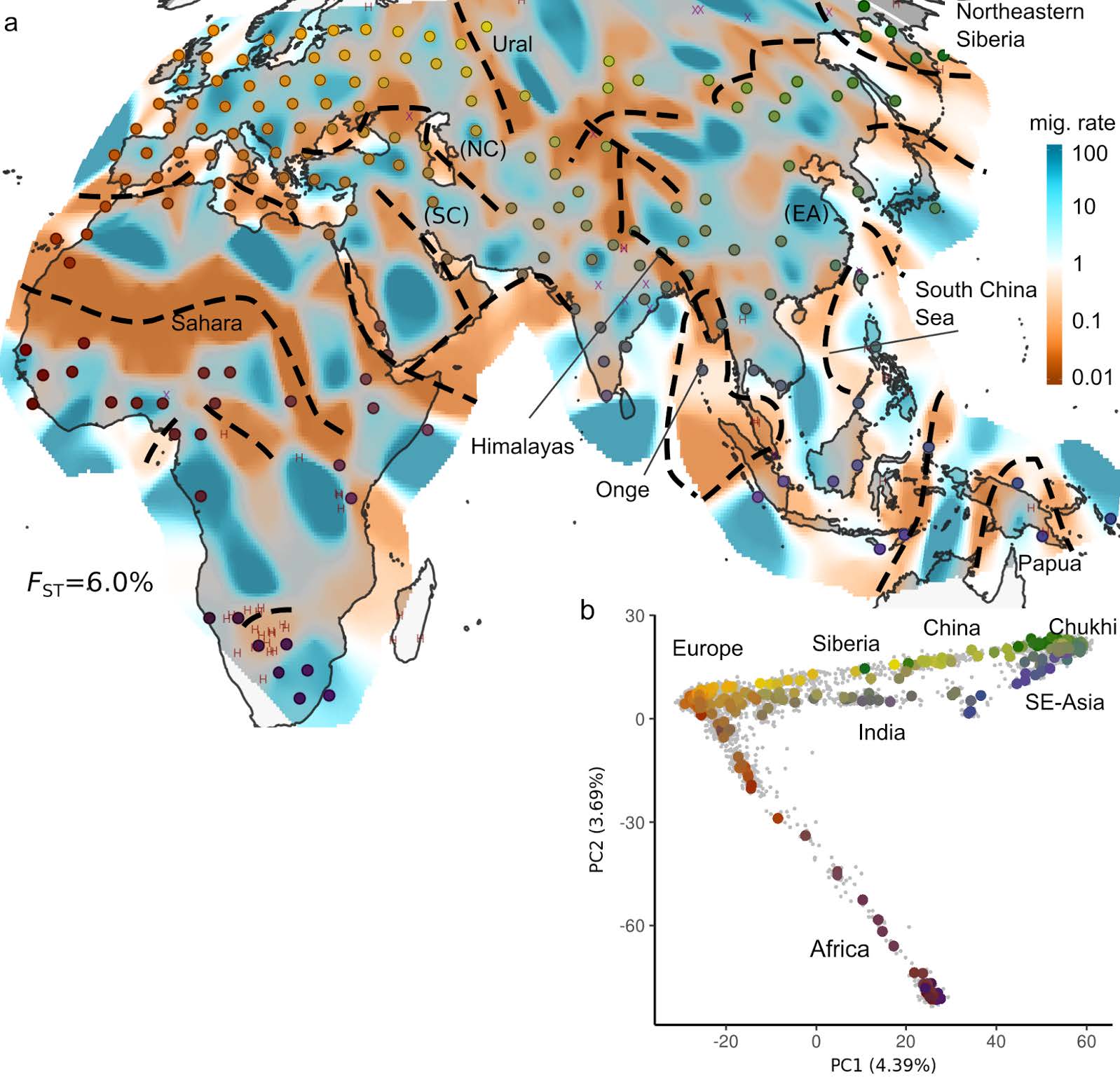 Genetic landscapes showing human genetic diversity aligning with ...