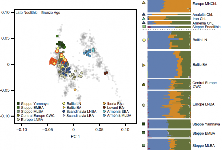 Genetic prehistory of the Baltic Sea region and Y-DNA: Corded Ware and ...