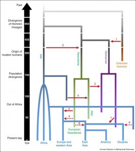 Neanderthal language revisited: speech old and shared with archaic ...