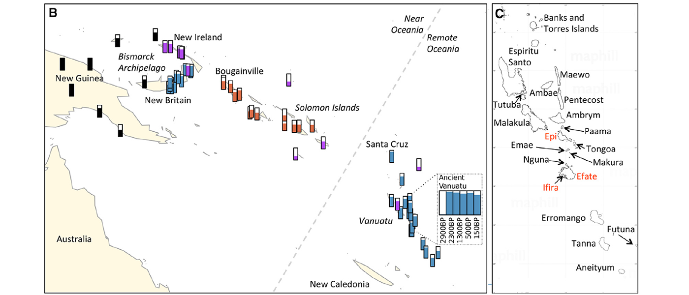 Linguistic continuity despite genetic replacement in Remote Oceania ...