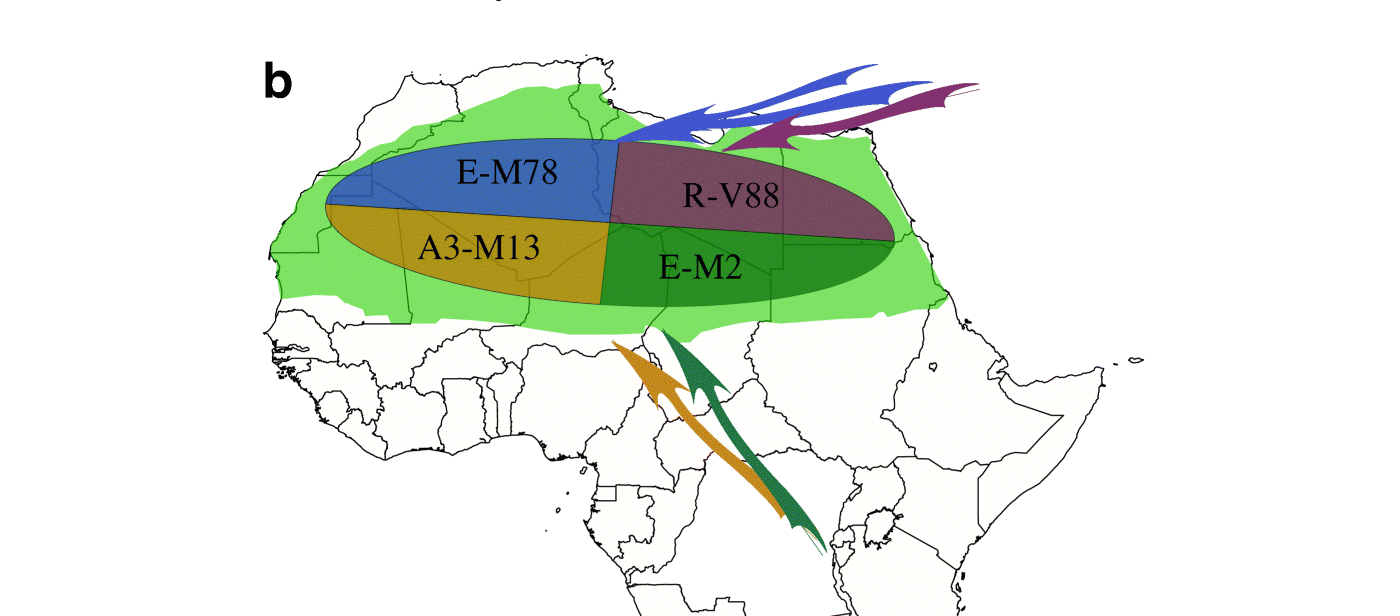 A history of male migration in and out of the Green Sahara | Indo ...