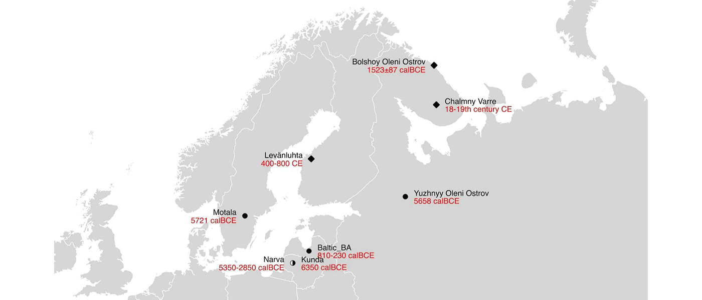 Oldest N1c1a1a-L392 samples and Siberian ancestry in Bronze Age ...