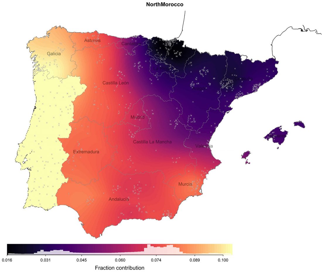 Patterns of genetic differentiation and the footprints of historical ...
