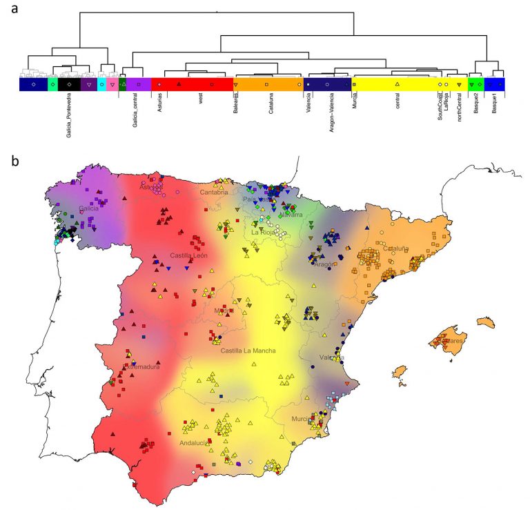 Patterns of genetic differentiation and the footprints of historical ...