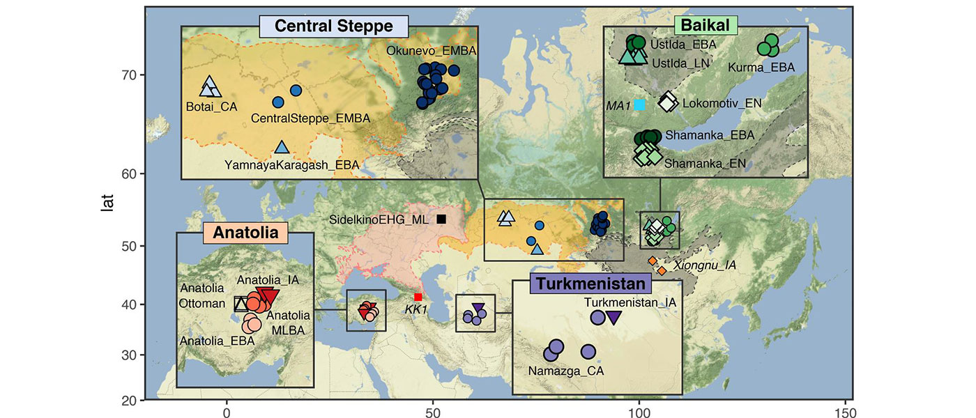 No large-scale steppe migration into Anatolia; early Yamna migrations ...