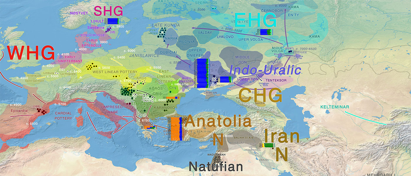 ancestral component Archives | Indo-European.eu