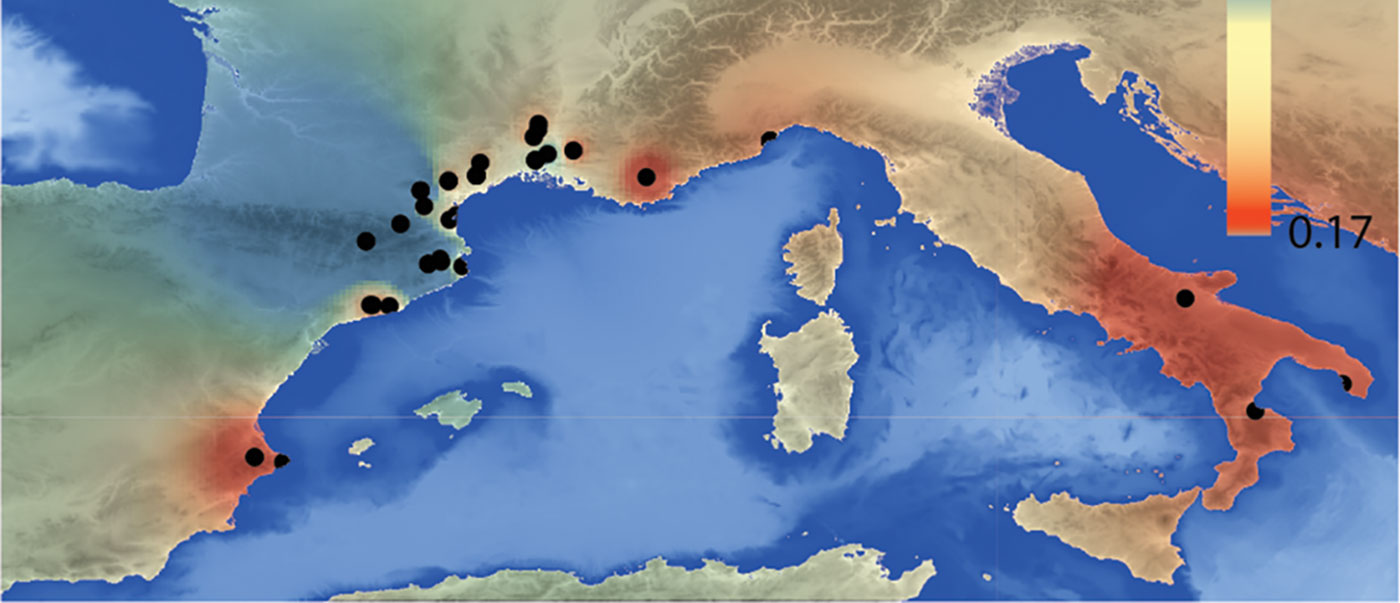 The fast spread of Neolithic farmers in the western Mediterranean ...
