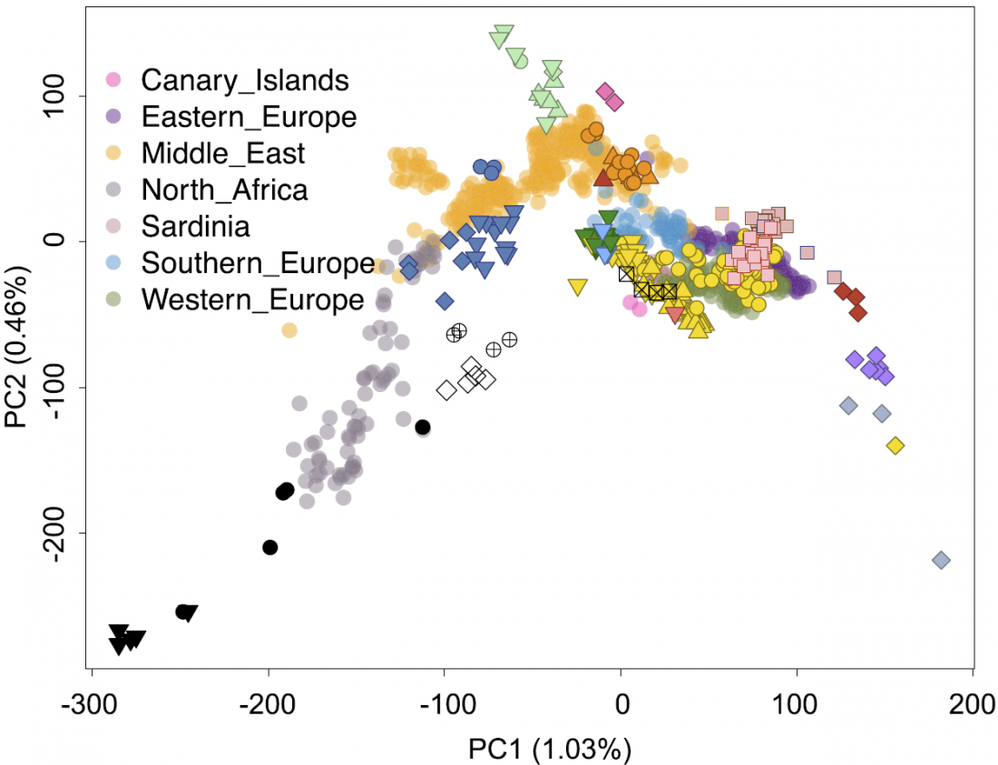 Ancient genomes from North Africa evidence Neolithic migrations to the ...