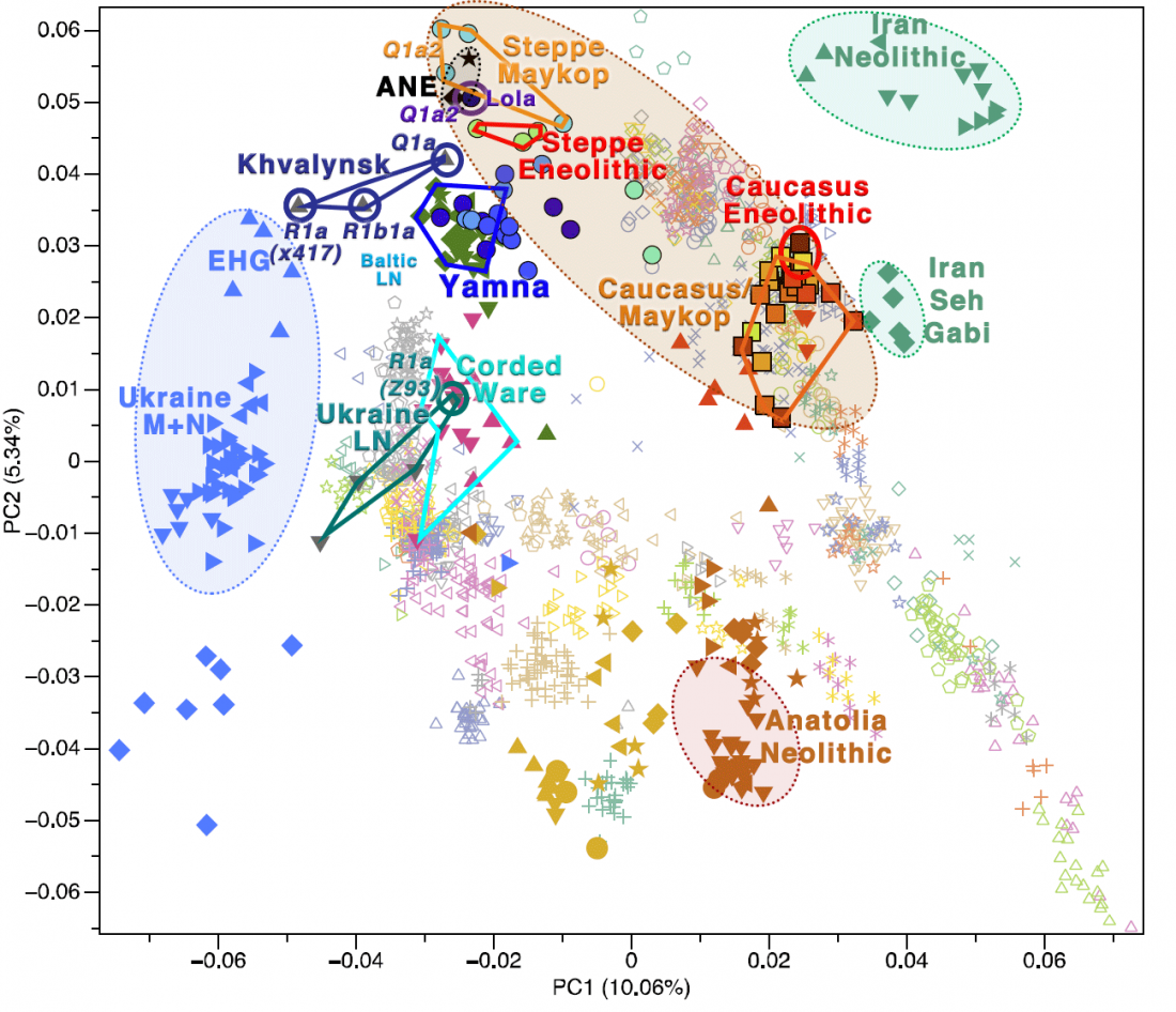 Sredni Stog, Proto-Corded Ware, and their "steppe admixture" | Indo ...