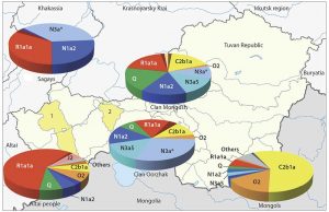 Y-DNA haplogroups of Tuvinian tribes show little effect of the Mongol ...