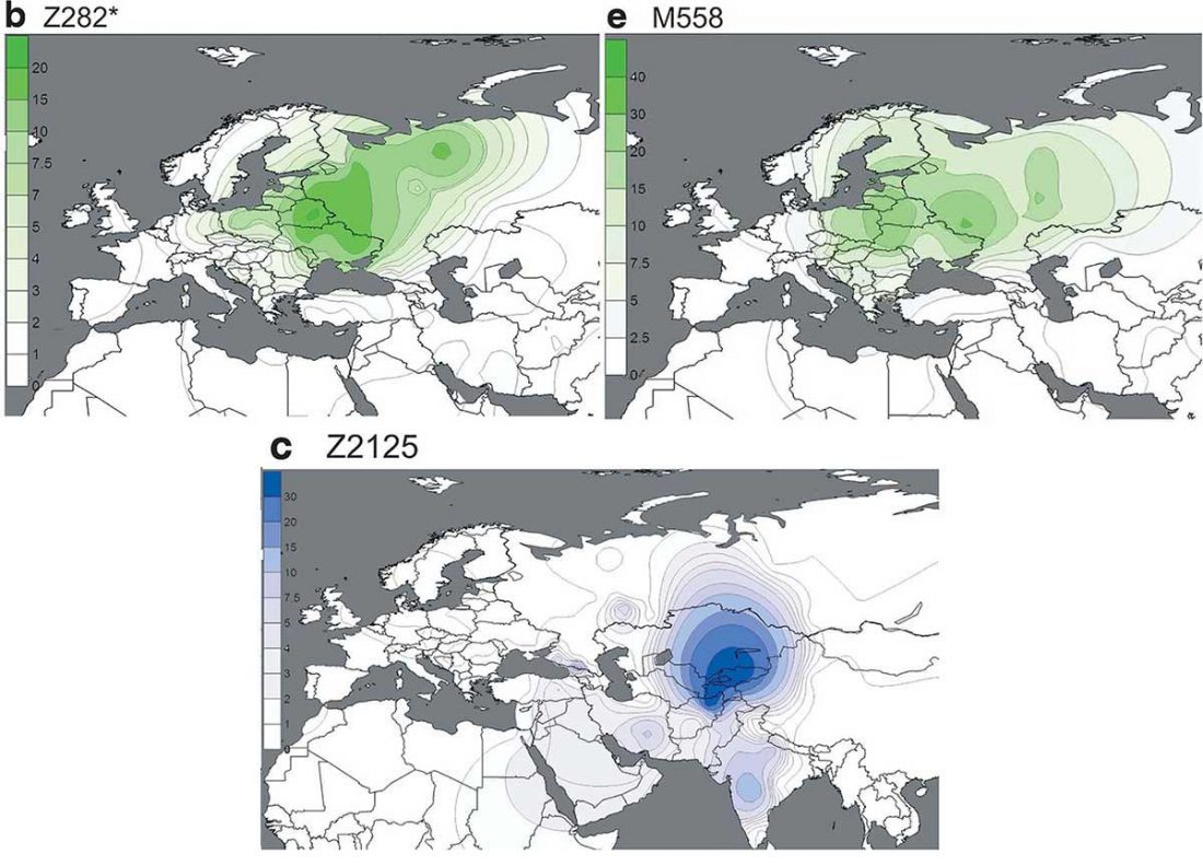 R1a-Z280 and R1a-Z93 shared by ancient Finno-Ugric populations; N1c-Tat ...