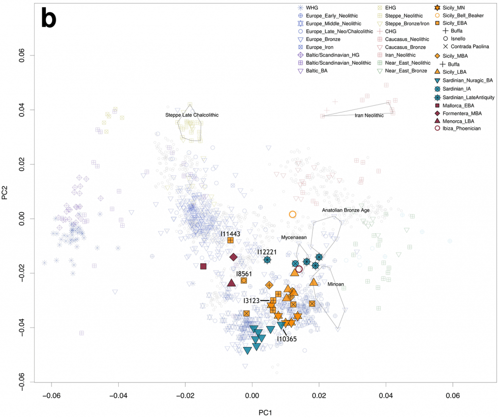 Arrival of steppe ancestry with R1b-P312 in the Mediterranean: Balearic ...