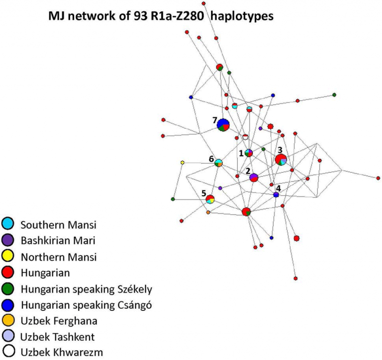 R1a-Z280 and R1a-Z93 shared by ancient Finno-Ugric populations; N1c-Tat ...