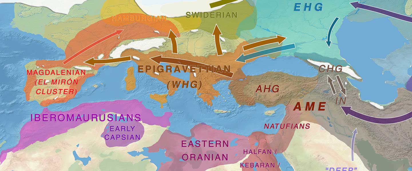 Villabruna cluster in Late Epigravettian Sicily supports South Italian ...
