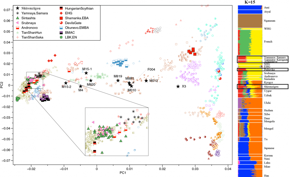 Iron Age Tocharians of Yamnaya ancestry from Afanasevo show hg. R1b ...