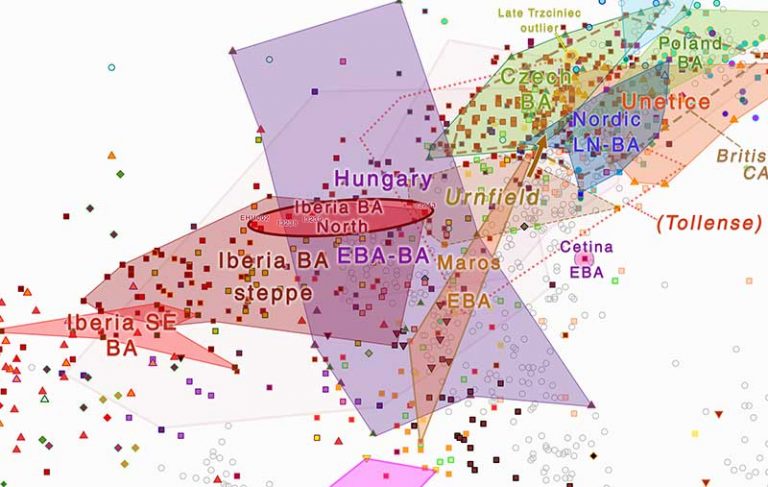 North-West Indo-Europeans of Iberian Beaker descent and haplogroup R1b ...