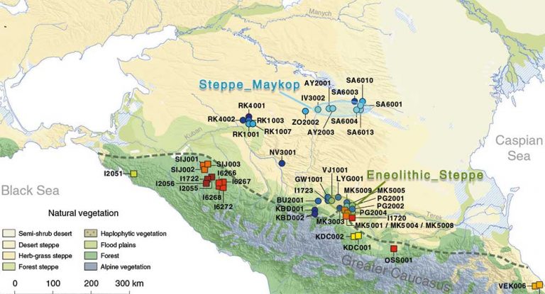“Steppe ancestry” step by step (2019): Mesolithic to Early Bronze Age ...