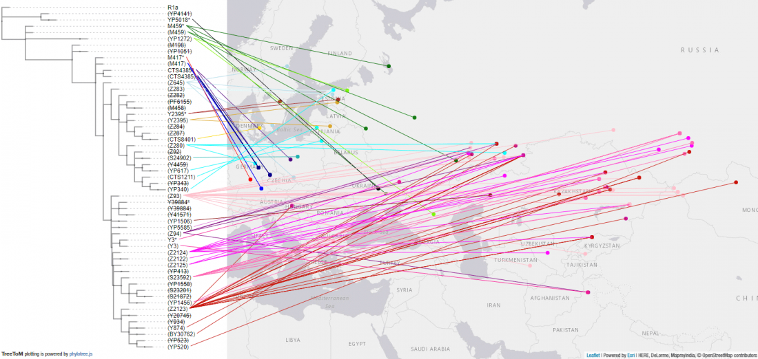 Ancient phylogeography: spread of haplogroups R1b, R1a and N | Indo ...
