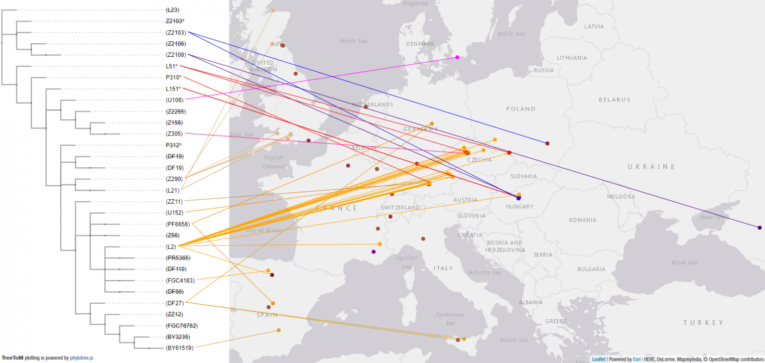 Ancient phylogeography: spread of haplogroups R1b, R1a and N | Indo ...
