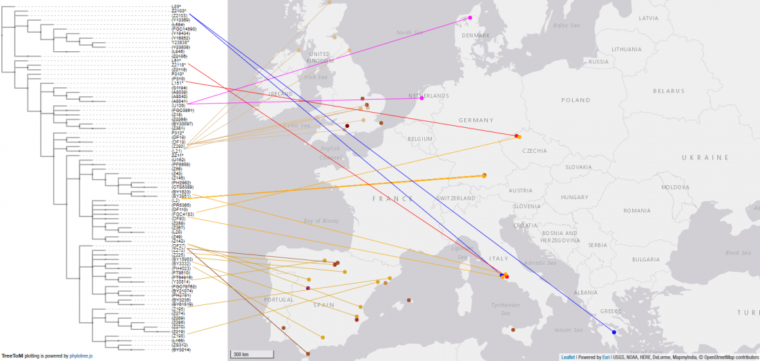 Ancient phylogeography: spread of haplogroups R1b, R1a and N | Indo ...