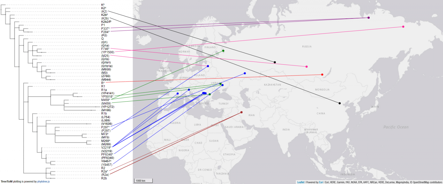 Ancient phylogeography: spread of haplogroups R1b, R1a and N | Indo ...