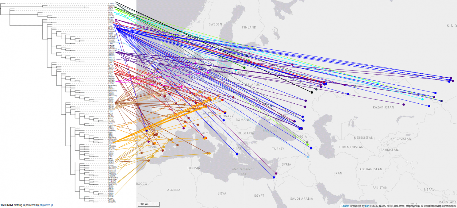Ancient phylogeography: spread of haplogroups R1b, R1a and N | Indo ...