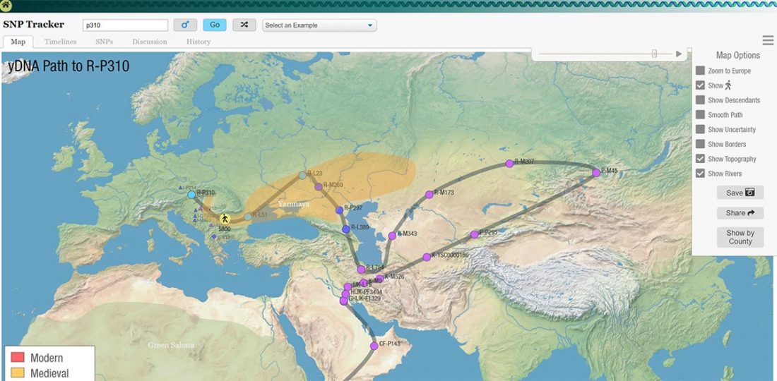 Ancient Y-DNA and mtDNA | Indo-European.eu