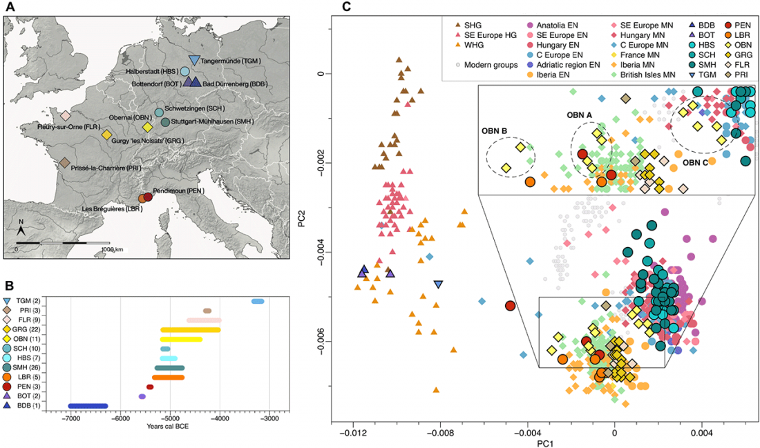 Survival of hunter-gatherer ancestry in West-Central European Neolithic ...