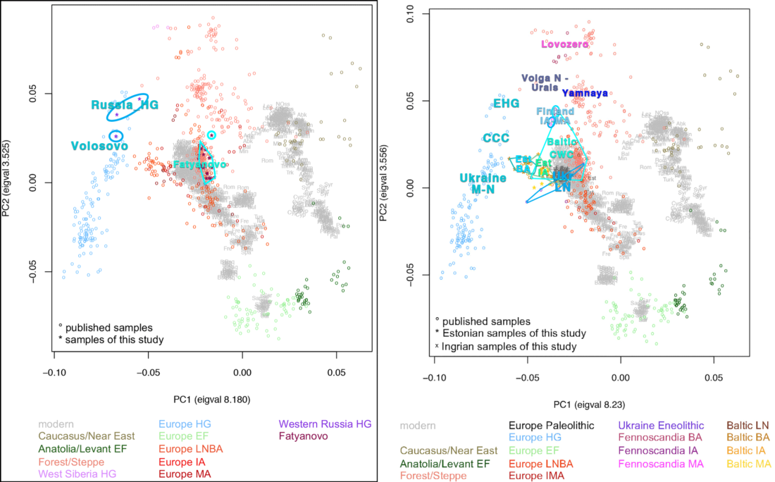 On Fatyanovo and the survival of R1a-Z93* among Mari-Permians | Indo ...