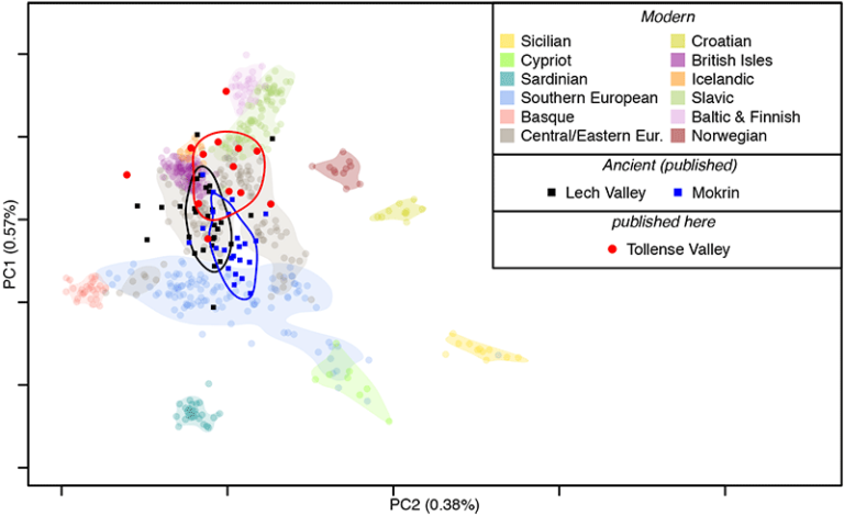 "Local" Tollense Valley warriors linked to Germanic peoples | Indo ...