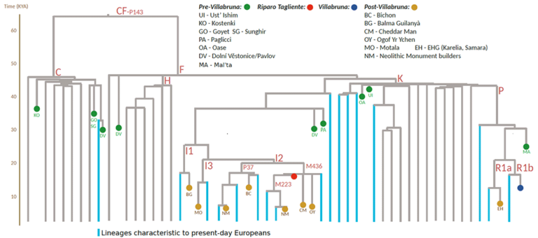 Epigravettian migrations 3,000 years before Villabruna | Indo-European.eu