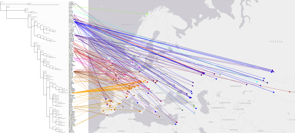West Yamnaya settlers like Early Bell Beakers: R1b-P310 and R1b-Z2103 ...