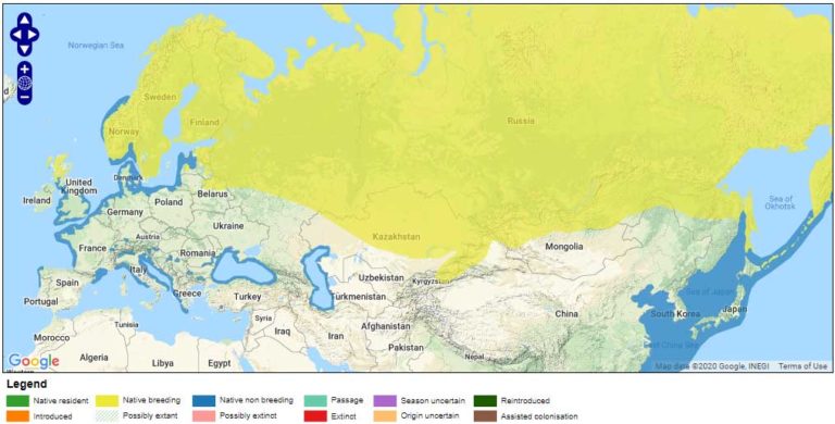 Proto-Uralic Homeland (I): Foraging & Animals | Indo-European.eu