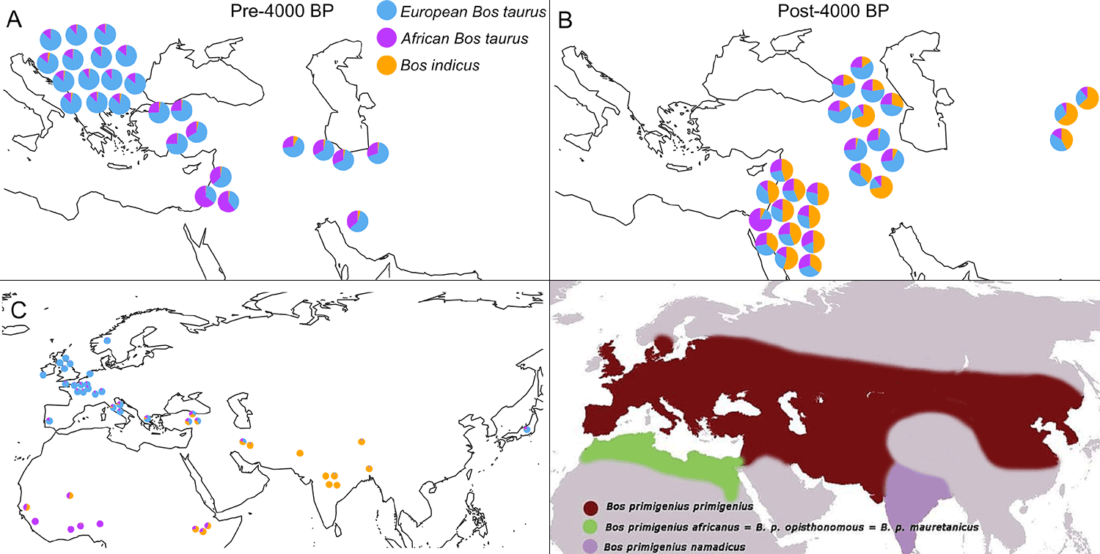 Proto-Uralic Homeland (IV): Animal Husbandry | Indo-European.eu