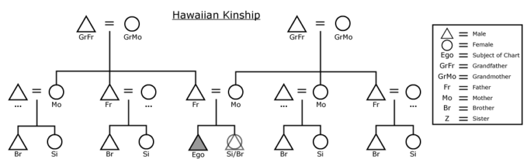Proto-Indo-European kinship system and patrilineality | Indo-European.eu
