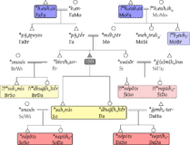 Proto-Indo-European kinship system and patrilineality | Indo-European.eu