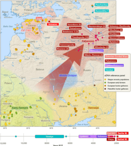 On Fatyanovo and the survival of R1a-Z93* among Mari-Permians | Indo ...