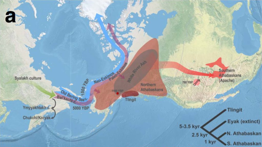 Dene-Yeniseian, Eskimo-Aleut, and Chukotko-Kamchatkan | Indo-European.eu