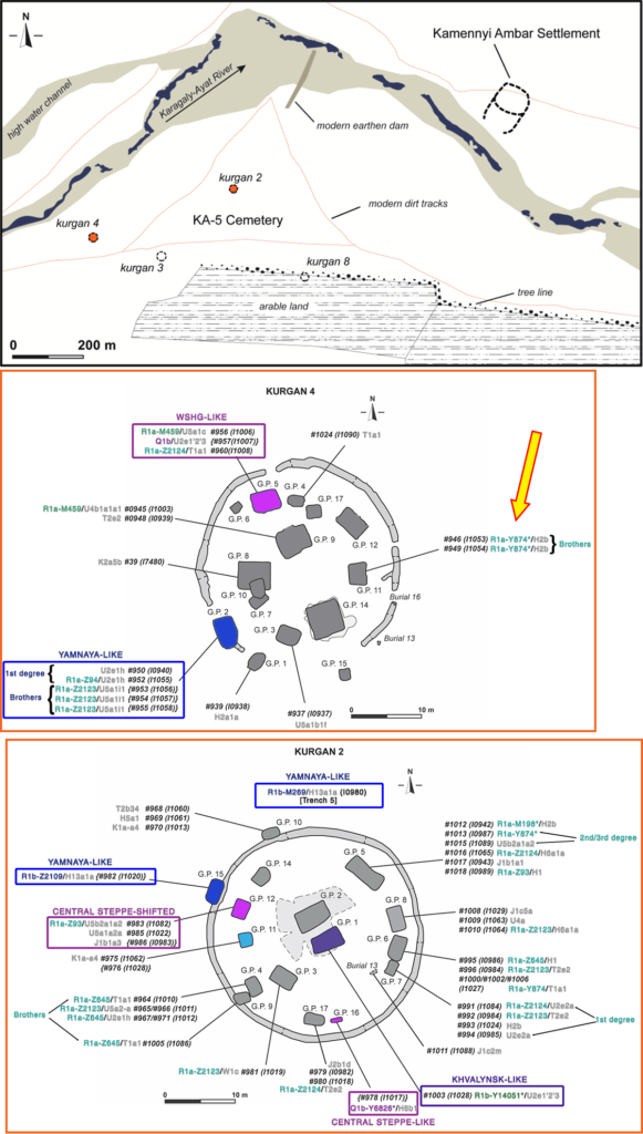 Y-DNA of 129 high quality shotgun ancient samples | Indo-European.eu