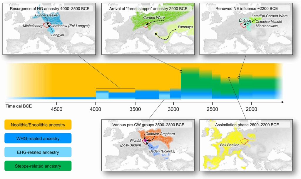 R1b-rich earliest Corded Ware, a Yamnaya-related vector of Indo ...